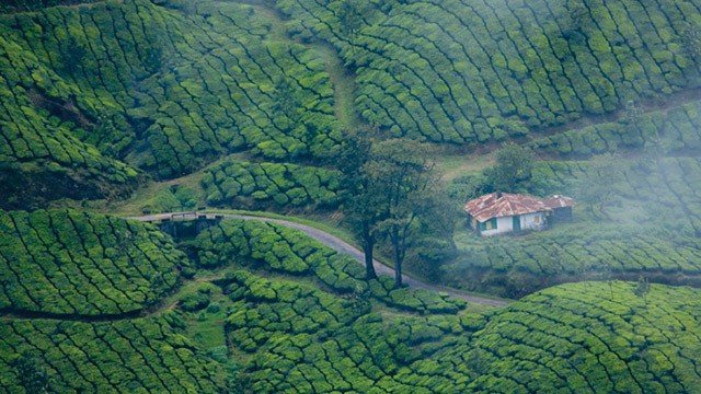 Majestic Munnar: A Serene Haven of Tea Plantations, Waterfalls, and ...